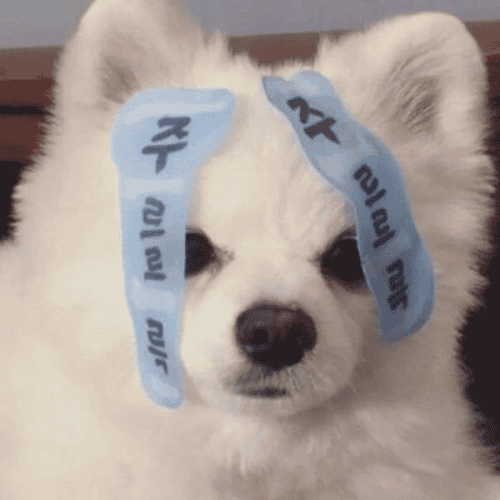 Dog Chat Bot | MyShell AI